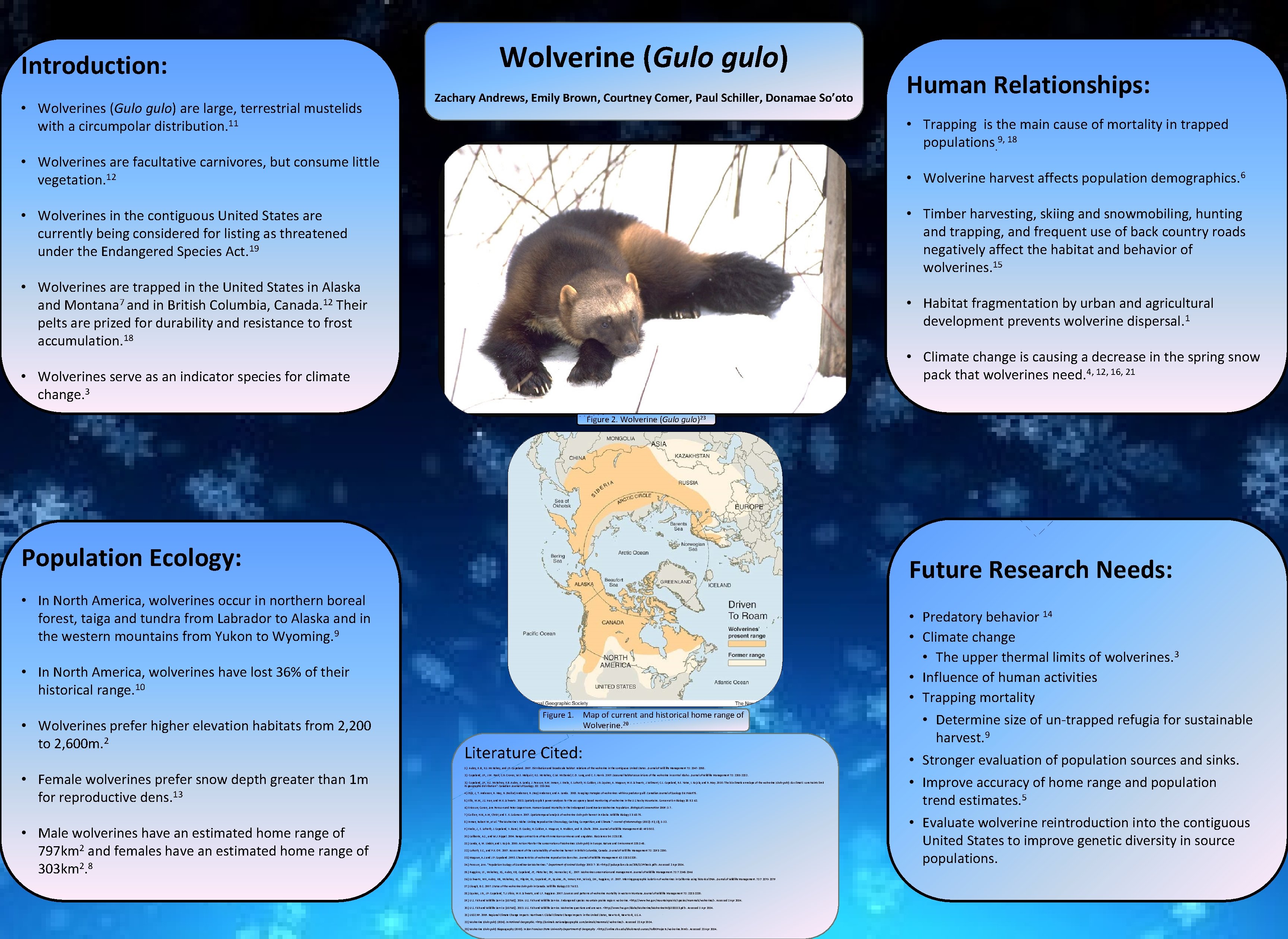 Introduction Wolverines Gulo gulo are large terrestrial mustelids