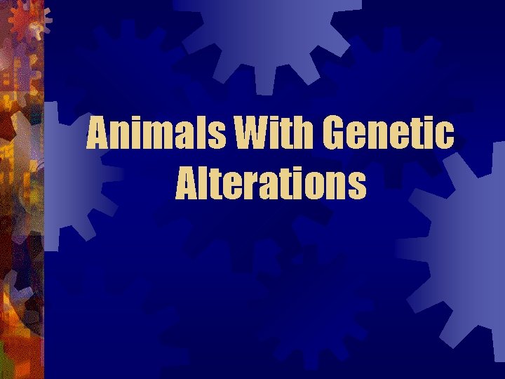 Animals With Genetic Alterations Freaky Calves Two Headed