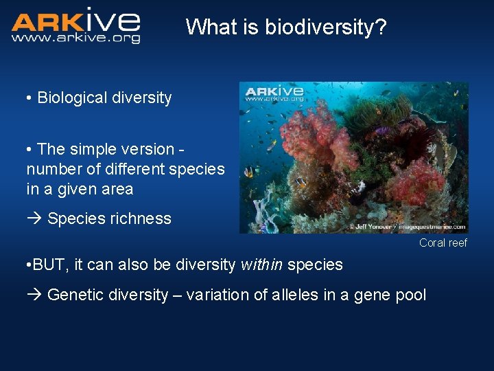 Biodiversity and Evolution What is biodiversity Biological diversity