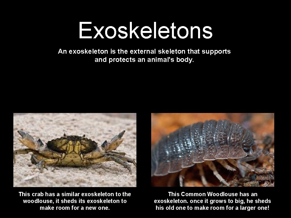 Classification By Fred Walker 2020 Why do we