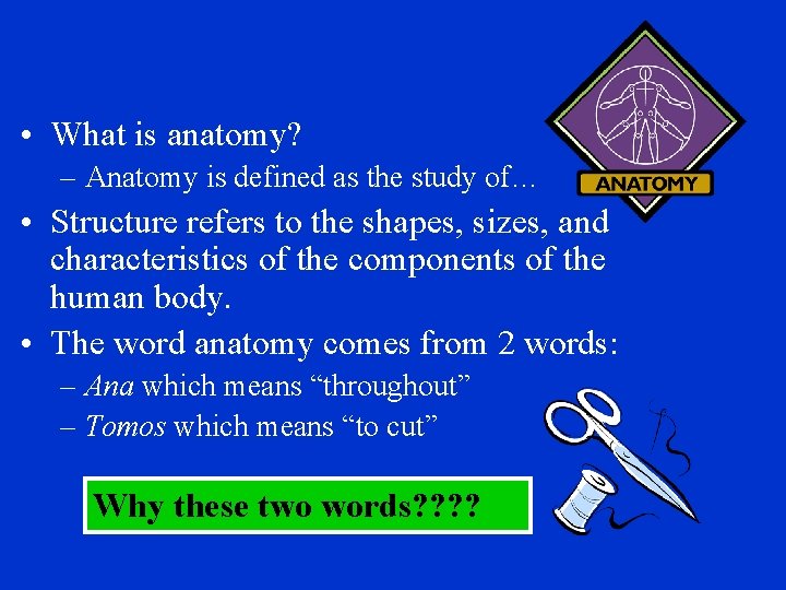 What is anatomy Anatomy is defined as the