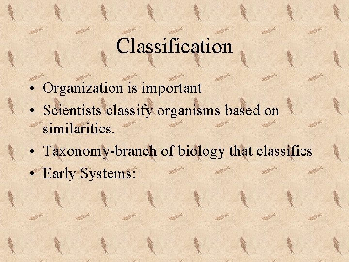 Organizing Lifes Diversity Ch 7 Notes Classification Organization