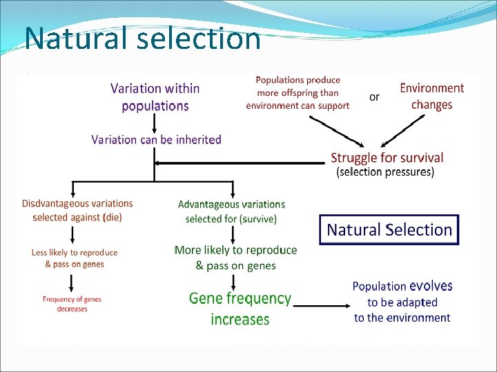 Changing population characteristics Starter Darwins 4 Observations 1