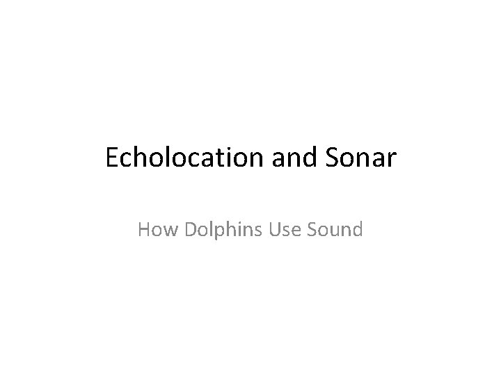 Echolocation and Sonar How Dolphins Use Sound Echolocation