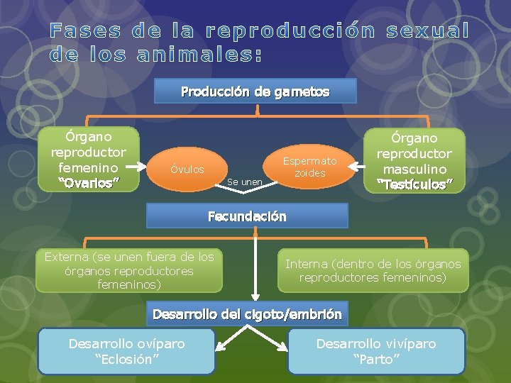 Los Seres Vivos Se Reproducen Se Os Ocurre