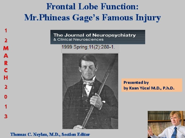 Frontal Lobe Function Mr Phineas Gages Famous Injury