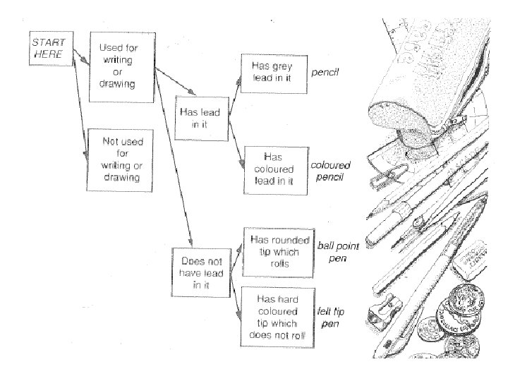 Classification Keys Dichotomous keys What is a dichotomous