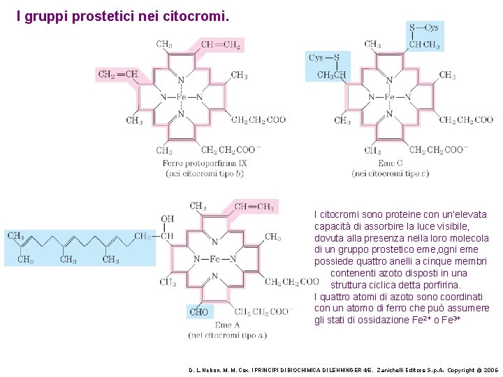 Anatomia biochimica di un mitocondrio Le involuzionicresteaumentano ...