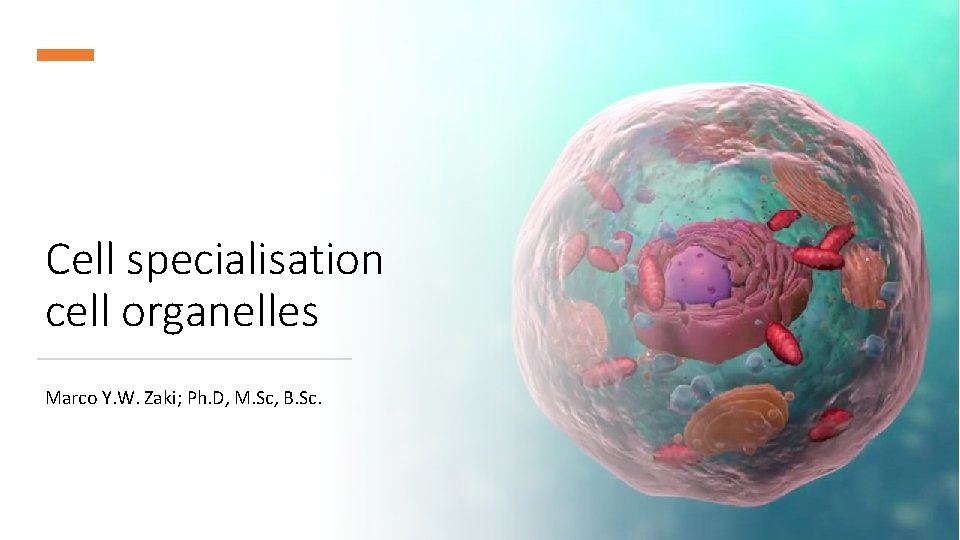 Cell specialisation cell organelles Marco Y W Zaki