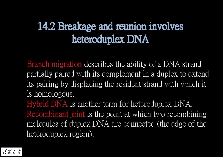Chapter 14 Recombination and repair 14 1 Introduction