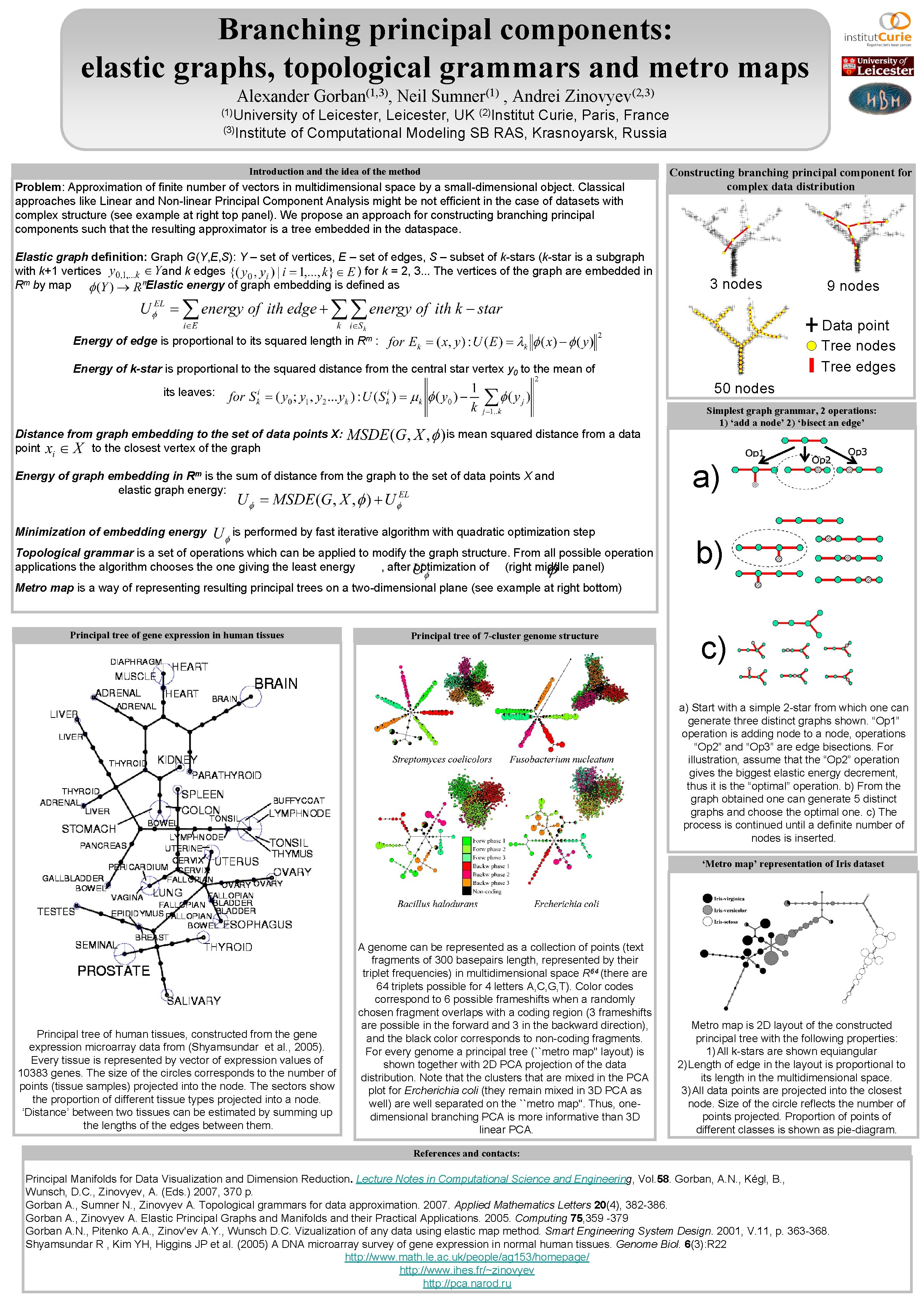 Branching principal components elastic graphs topological grammars and