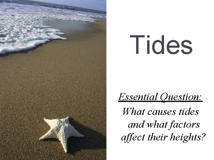 Tides Essential Question What causes tides and what