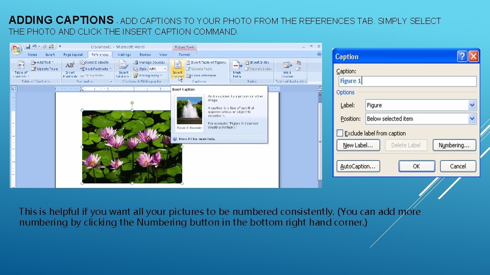 WORKING WITH GRAPHICS v Insert a picture from