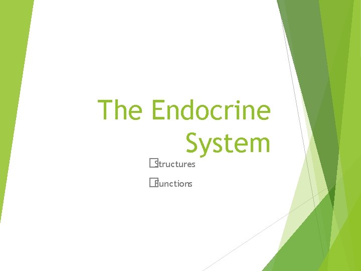 The Endocrine System Structures Functions The Endocrine System