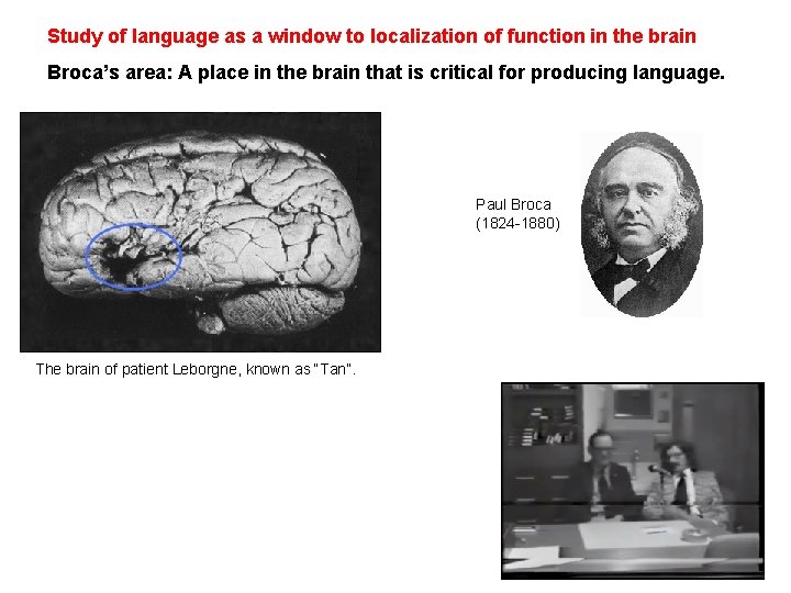 JHU BME 580 422 Biological Systems II Brain
