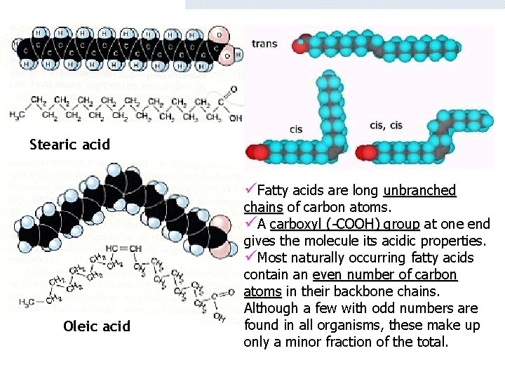 LIPIDS by Endang Astuti Chemistry Department Lipids can