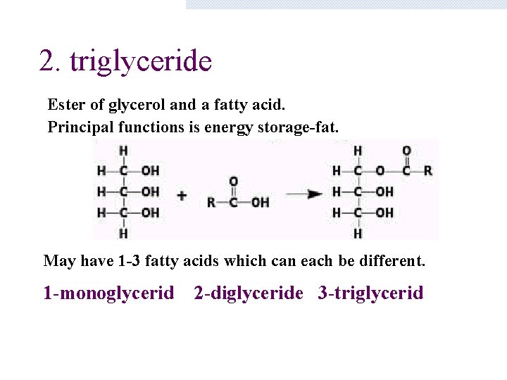 LIPIDS by Endang Astuti Chemistry Department Lipids can