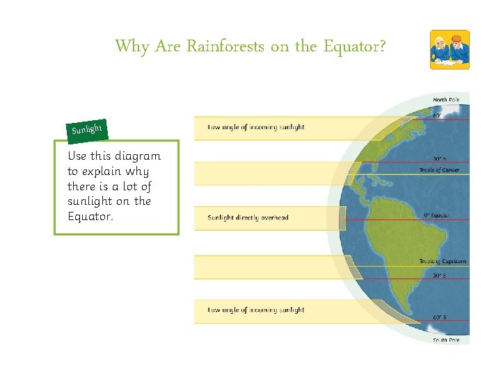 Where Are Tropical Rainforests How Can We Describe