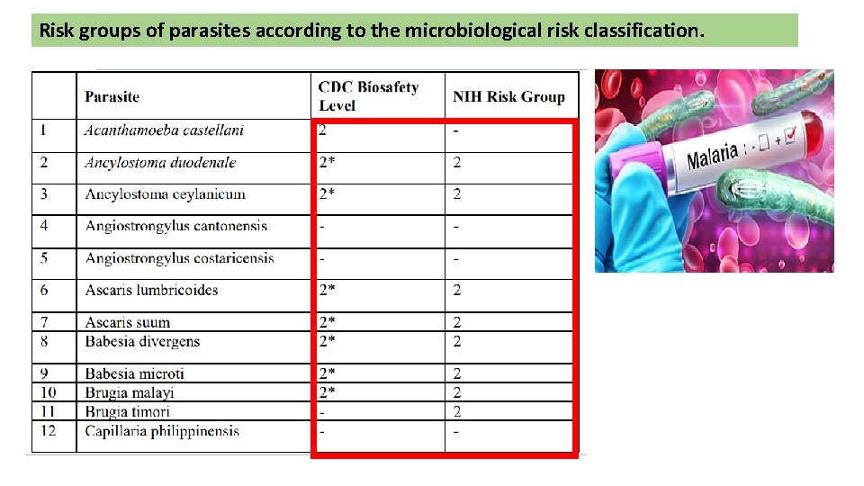 Biosafety principles in parasitology laboratories Elham Masoumi Ph