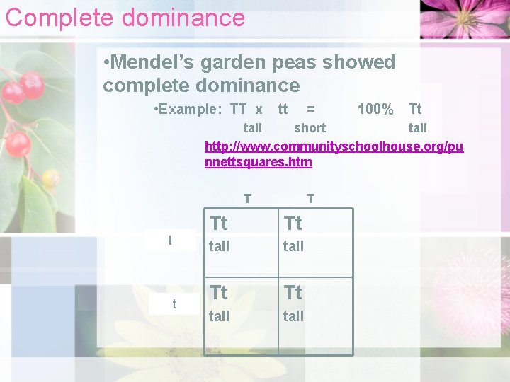 Forms of dominance Complete Incomplete Codominance Multiple Alleles