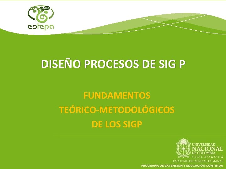 DISEO PROCESOS DE SIG P FUNDAMENTOS TERICOMETODOLGICOS DE