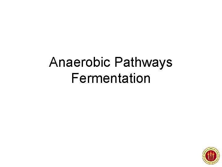 CELLULAR RESPIRATION DR ARNEL BANAGA SALGADO Psy D