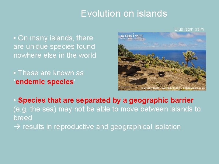 OPENING ACTIVITY Complete the crossword puzzle you were