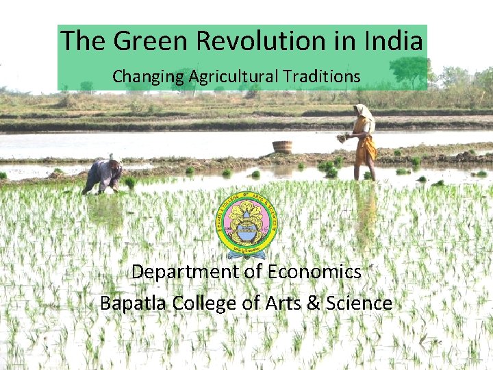 The Green Revolution in India Changing Agricultural Traditions