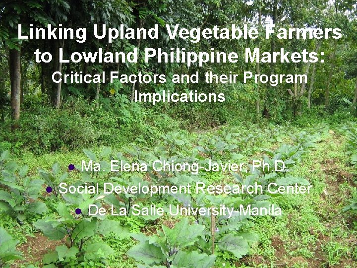 Linking Upland Vegetable Farmers to Lowland Philippine Markets