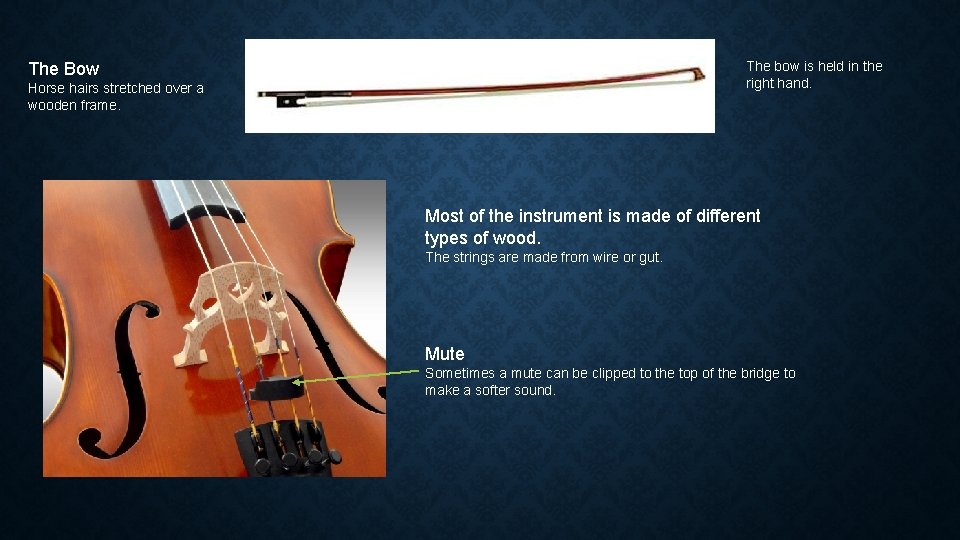 STRING INSTRUMENTS Violin Viola Harp Double Bass Cello