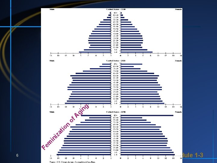 Road Safety Demographics Describe the demographic trends underlying