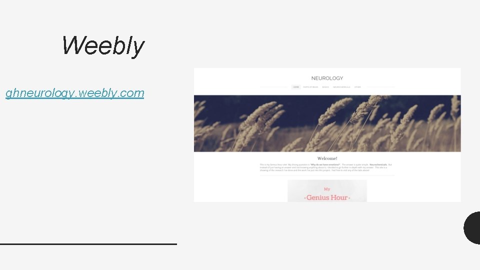 GENIUS HOUR FINAL PRESENTATION By Kylie Wentz What