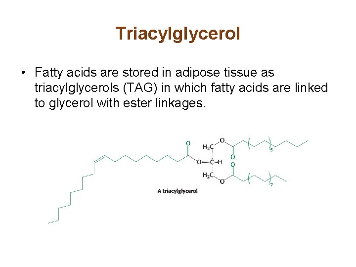 Chapter 22 Fatty Acid Metabolism 2019 W H