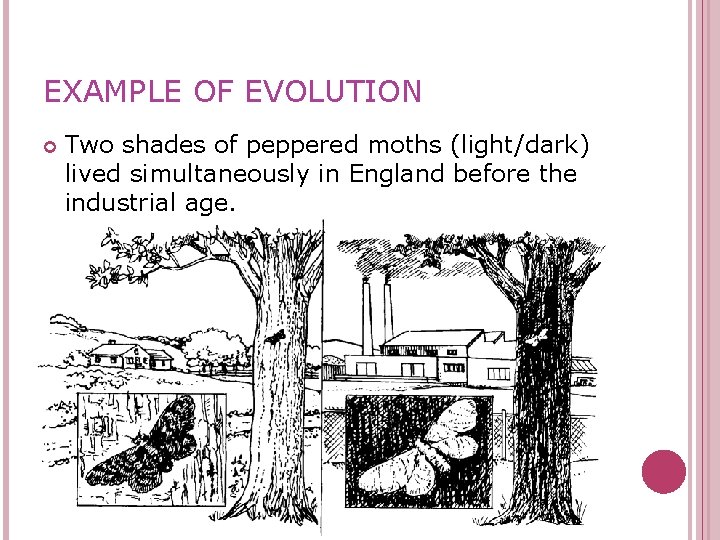 CHARACTERISTICS OF LIVING THINGS 1 COMPOSED OF CELLS