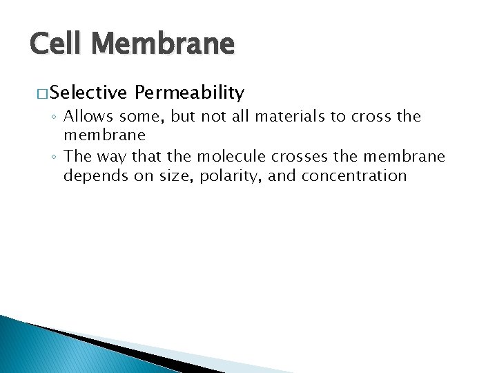 Cell Membrane Structure Diffusion and Osmosis What is