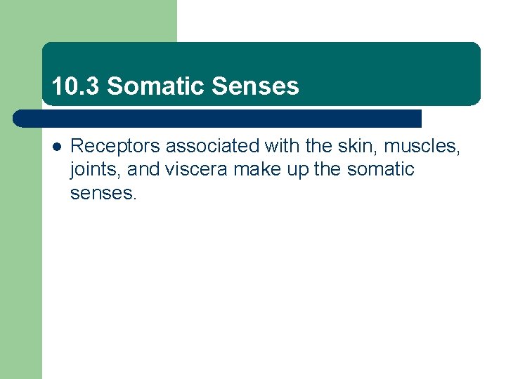 Chapter 10 Somatic and Special Senses 10 1