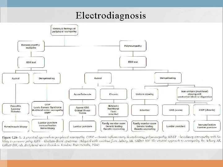 Electromyography in Clinical Practice A Case Study Approach