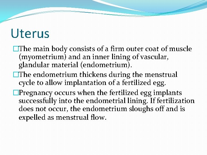 The Female Reproductive System Uterus A pearshaped muscular