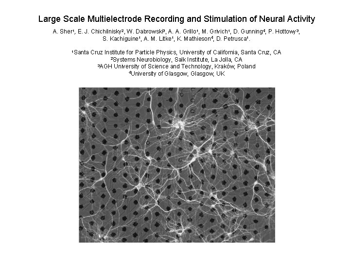 Large Scale Multielectrode Recording and Stimulation of Neural