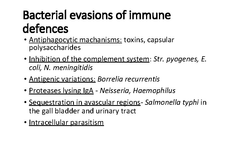 Immune Response to Bacterial Infection Imunopathology of Sepsis