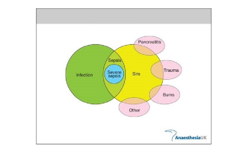 Immune Response to Bacterial Infection Imunopathology of Sepsis