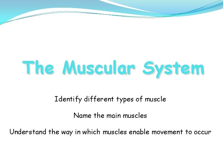 The Muscular System Identify different types of muscle