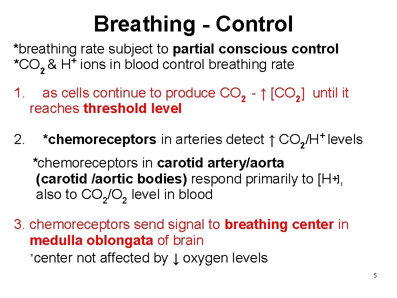 Respiratory System Anatomy Breathing air movement in nasal