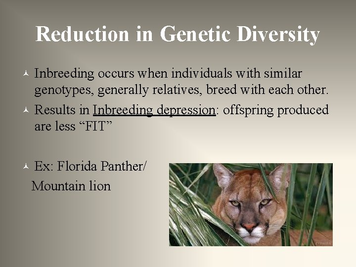 Chapter 18 Conservation of Biodiversity The th 6