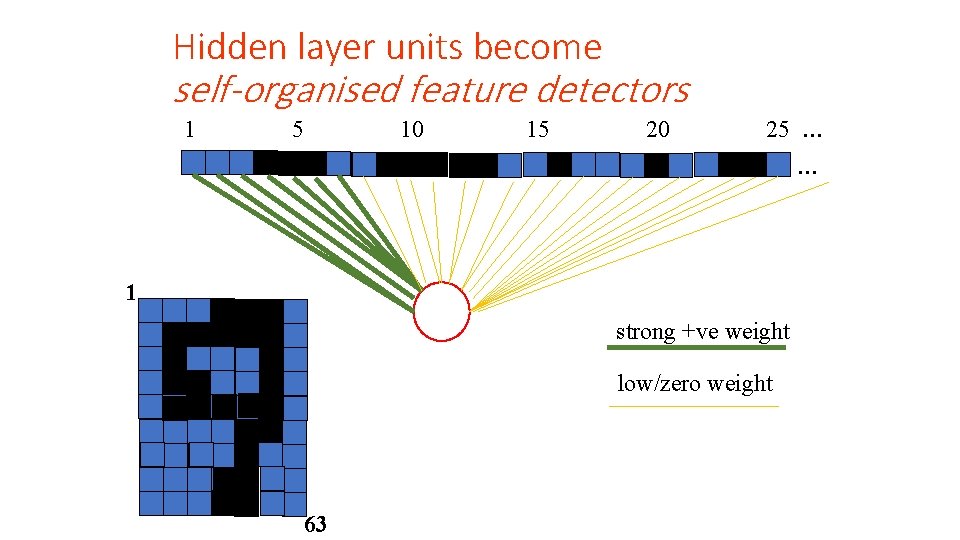 Deep Belief Networks with Daniel L Silver Ph