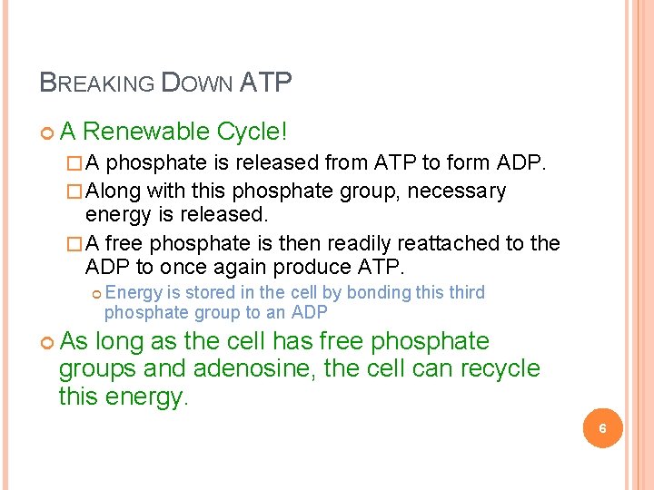 PHOTOSYNTHESIS AND CELLULAR RESPIRATION Adapted from powerpoints by