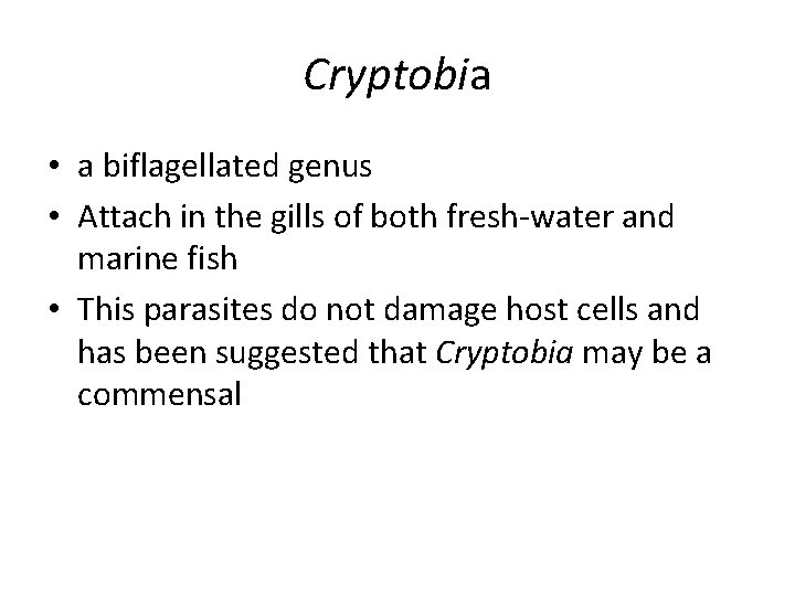 Protozoan parasitic diseases Diagnosis method wet mount of