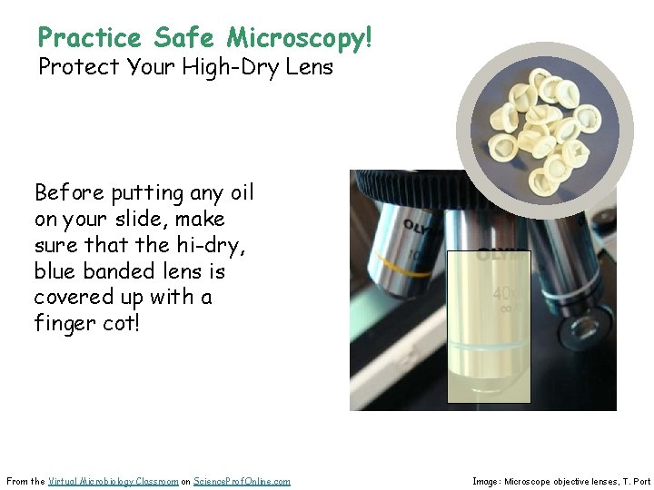 About Science Prof Online Power Point Resources Science