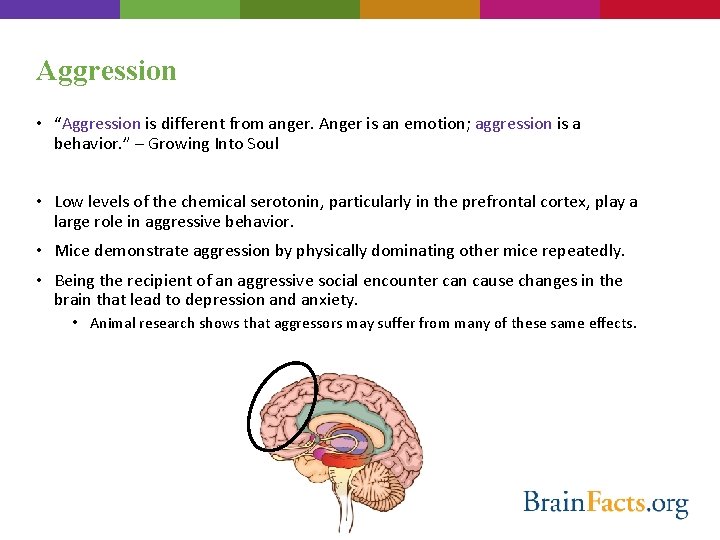 The Heart vs The Brain Emotions Mission Control