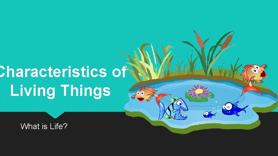 Characteristics of Living Things What is Life What